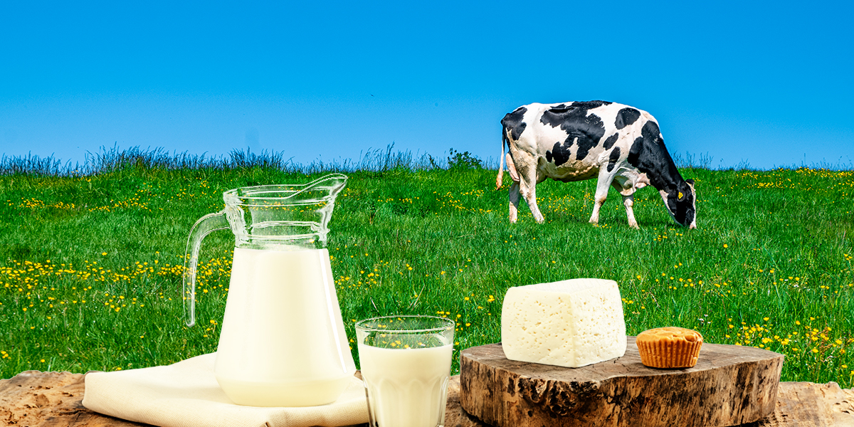 Se avanza en la normatividad del sector lechero - BM Editores